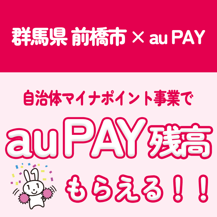 【自治体キャンペーン】群馬県 前橋市で市内に住民登録のある29歳以下の方に自治体マイナポイントを付与（2022年12月1日～）